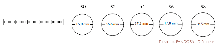 Institucional – pandorajoias
